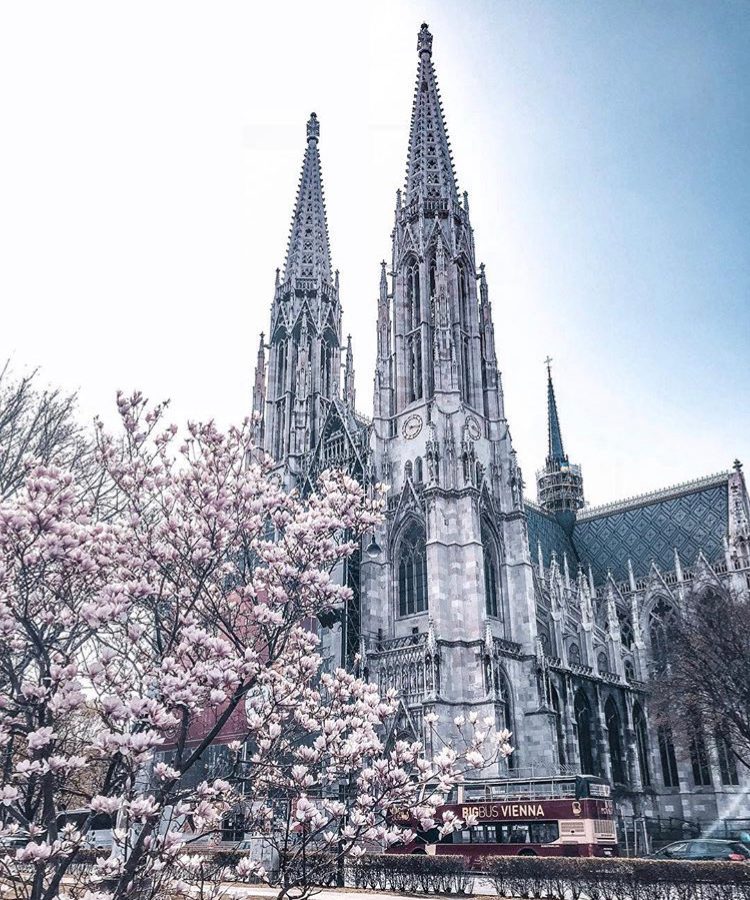12 pictures that prove Vienna looks its absolute best in spring ...