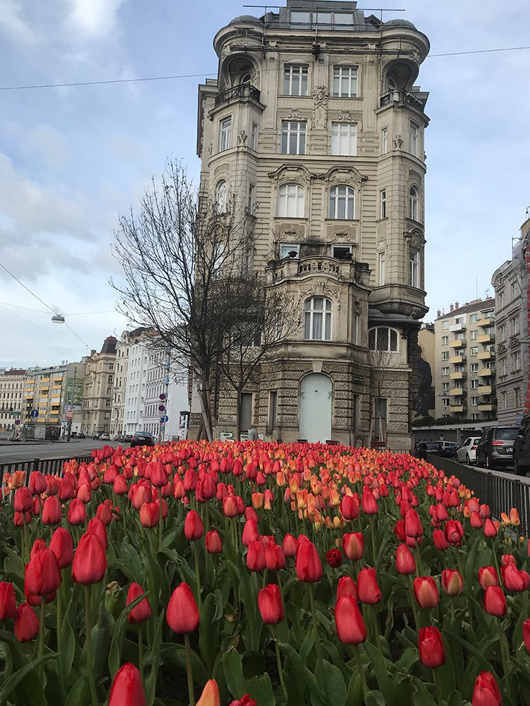 12 pictures that prove Vienna looks its absolute best in spring ...
