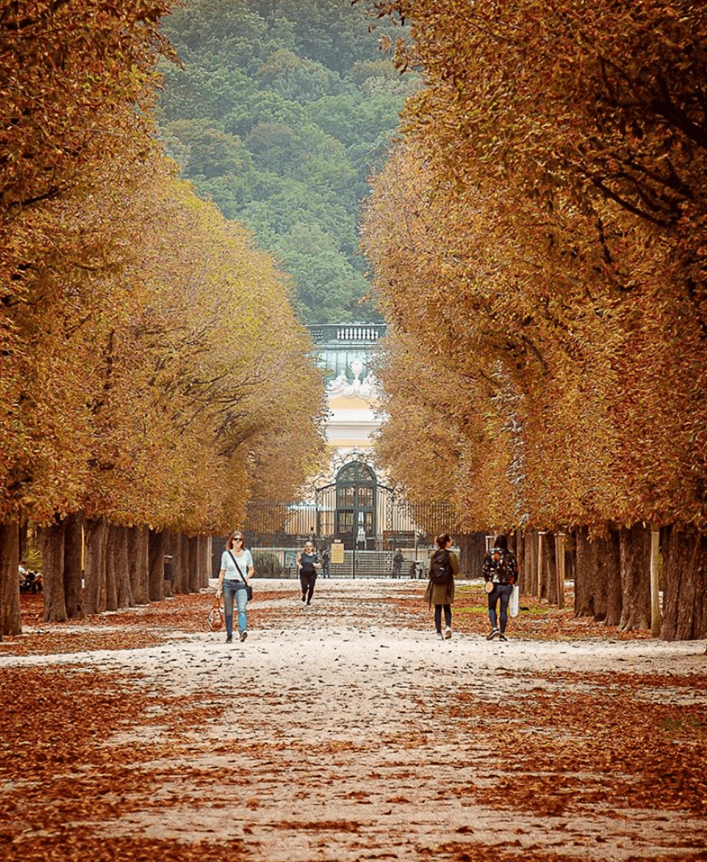 These 11 awesome photos show the breathtaking beauty of autumn in ...