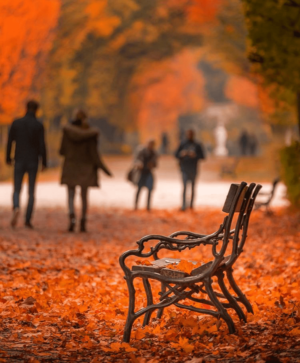 These 11 awesome photos show the breathtaking beauty of autumn in ...