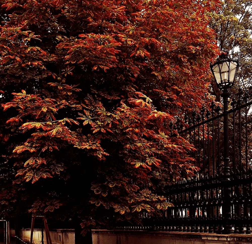 These 11 awesome photos show the breathtaking beauty of autumn in ...