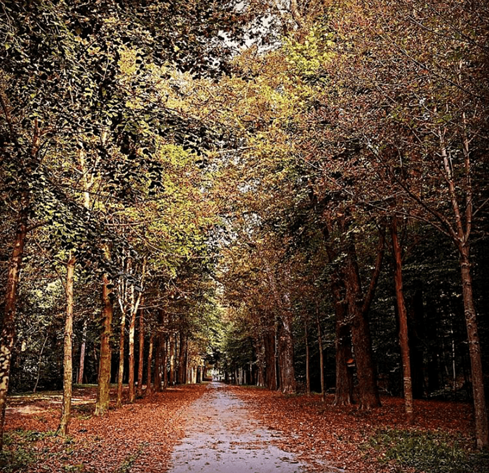 These 11 awesome photos show the breathtaking beauty of autumn in ...